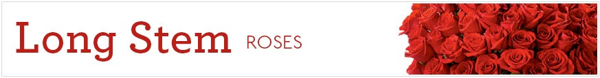 Cheap Long Stem Roses | Same Day Long Stem Rose Delivery