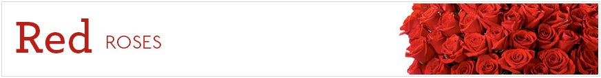 Red Roses | Red Rose Delivery | SendFlowers.com