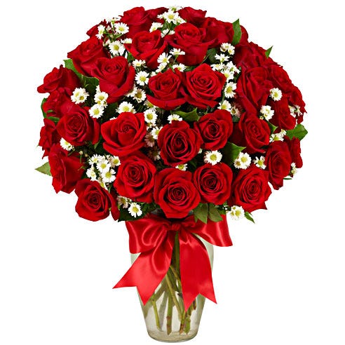3 Dozen Roses - Red at Send Flowers