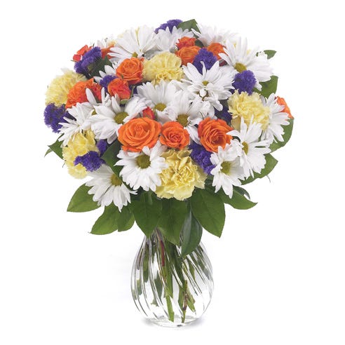 Tropical Daisy Bouquet at Send Flowers