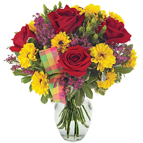 Sunshine and Roses at Send Flowers