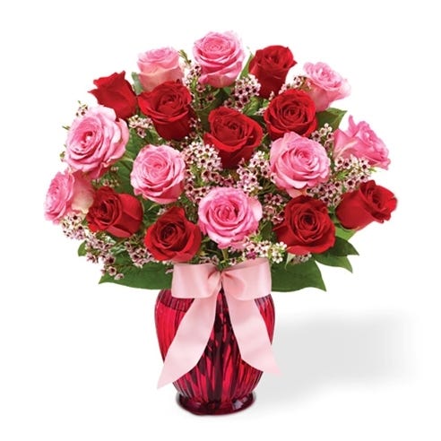 Red and Pink Rose Devotion at Send Flowers