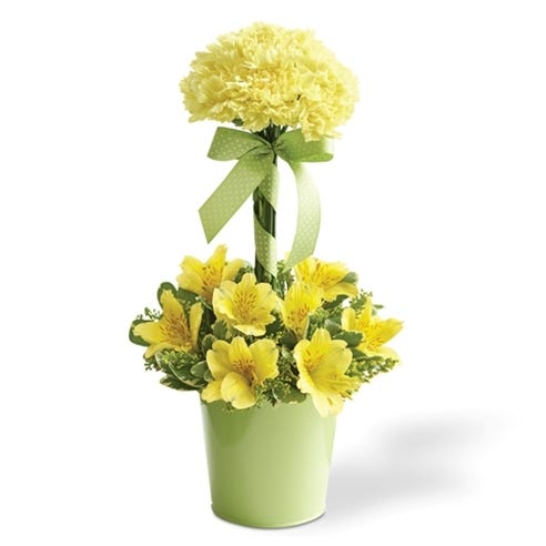 Yellow Garden Topiary at Send Flowers