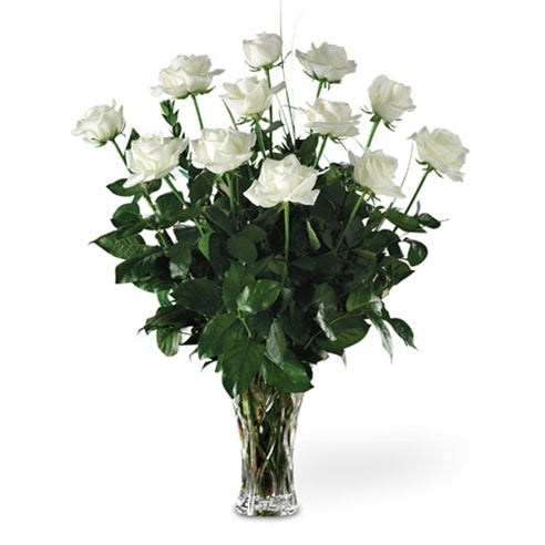 Wonderful White Dozen Roses at Send Flowers