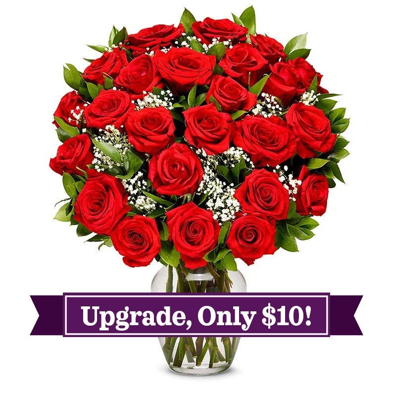 Two Dozen Red Roses at Send Flowers