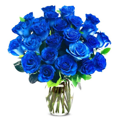 Two Dozen Royal Blue Roses at Send Flowers