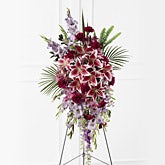 Exotic Stargazer Spray at Send Flowers