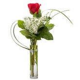 Single Red Rose with Babies Breath at Send Flowers