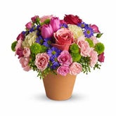 Aspire Pink Rose Spring Bouquet at Send Flowers