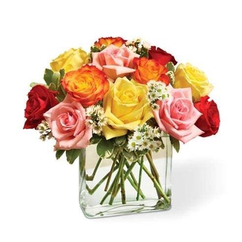 Modern Mixed Roses - One Dozen at Send Flowers
