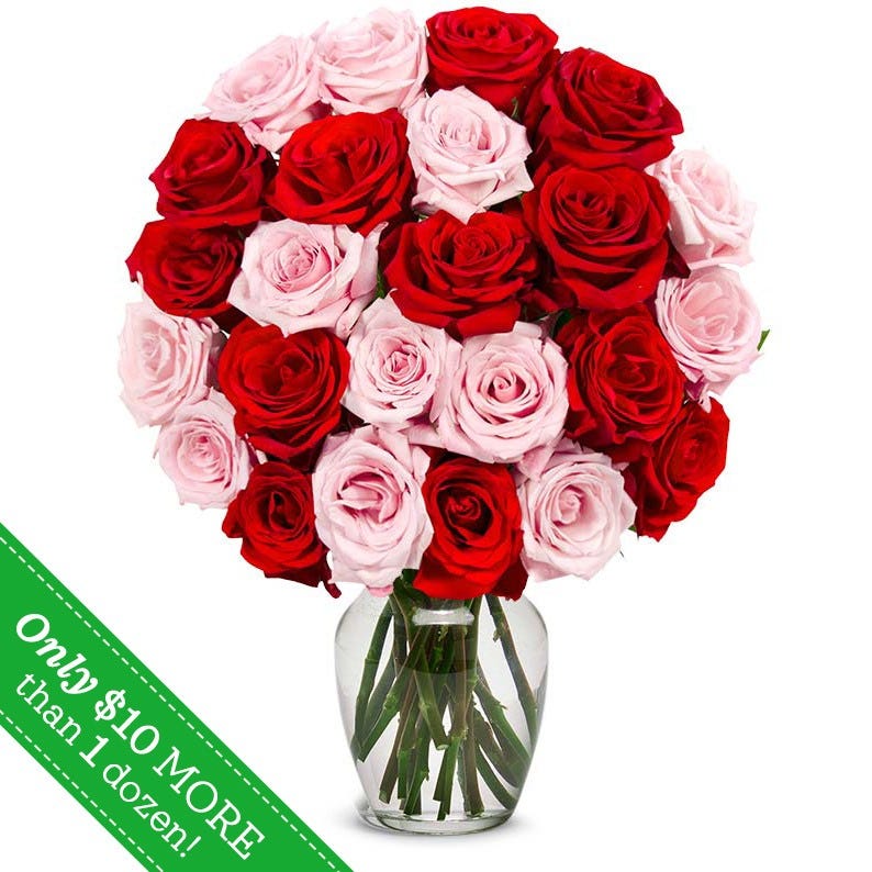 Two Dozen Red & Pink Roses at Send Flowers
