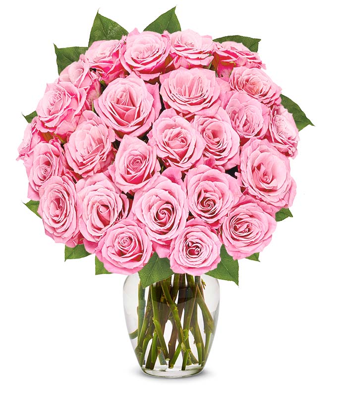2 Dozen Pink Roses at Send Flowers