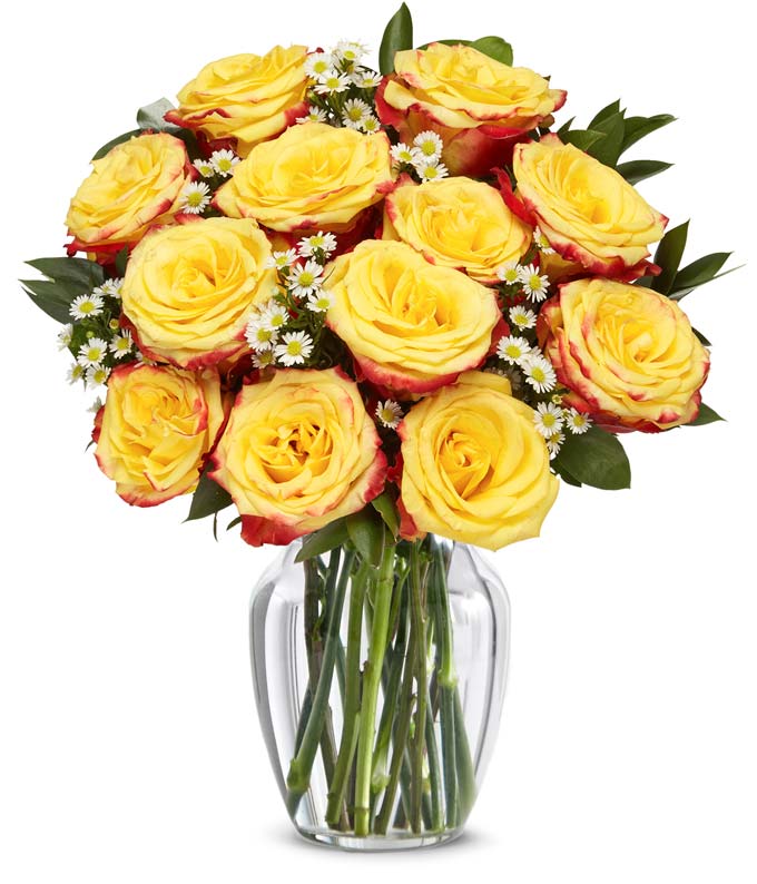 One Dozen Fire Roses at Send Flowers