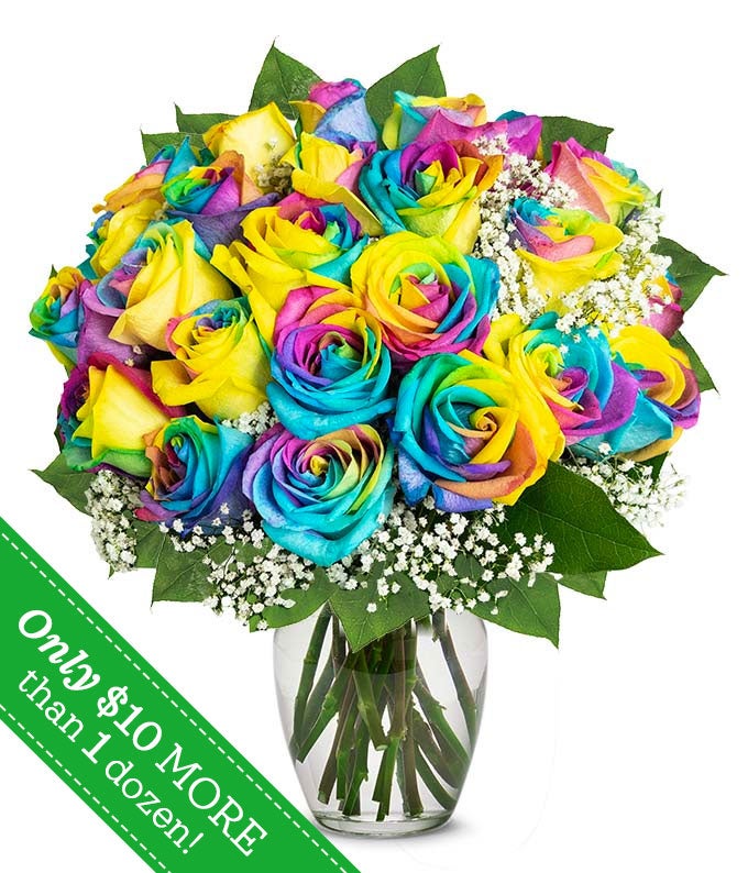 Two Dozen Wild Rainbow Roses at Send Flowers
