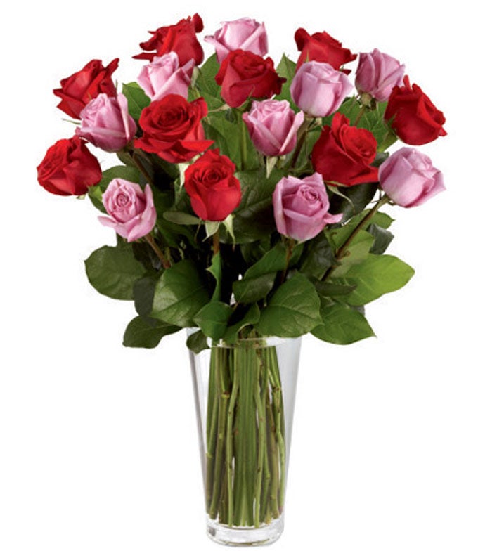 Red & Purple Roses Bouquet at Send Flowers