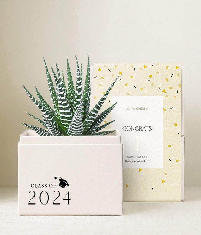 Lula's Garden® Class of 2024! Zebra Succulent Garden at Send Flowers