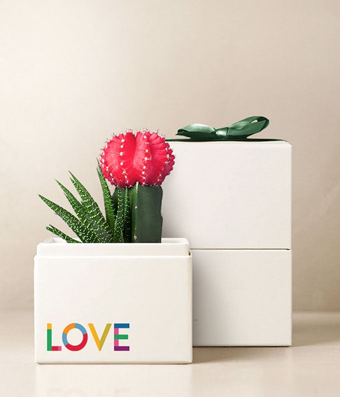 Lula's Garden ® Pride Month Celebration Rosé Garden at Send Flowers