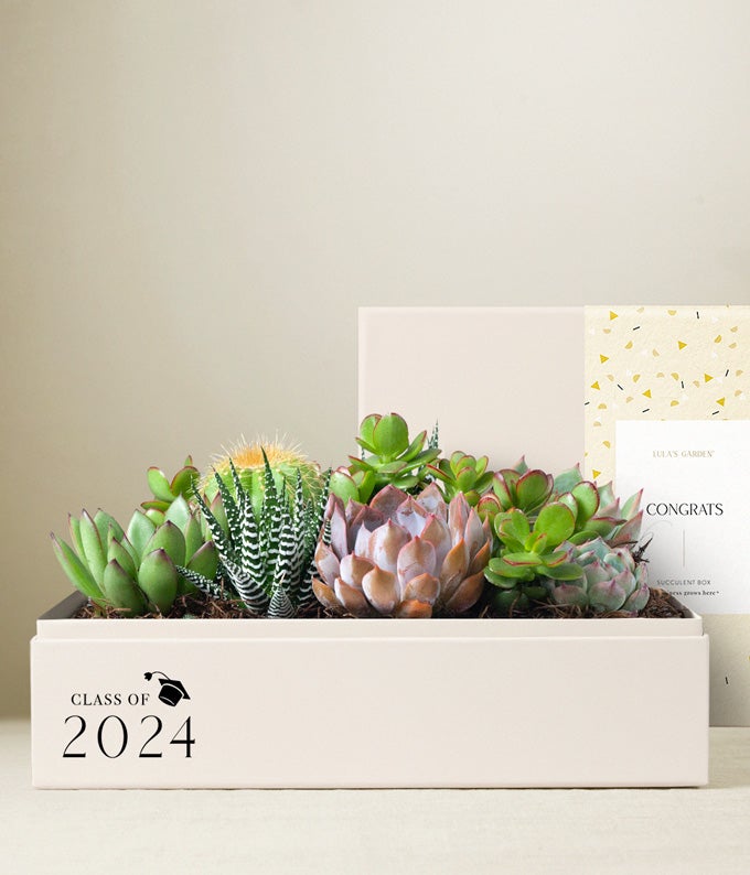 Lula's Garden® Class of 2024! Lush Succulent Garden at Send Flowers