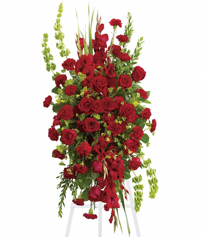 Loving Red Flower Spray at Send Flowers